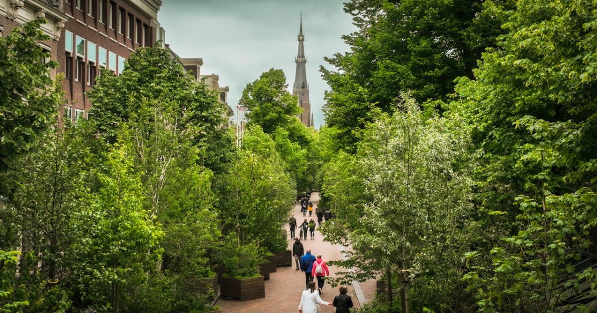 The public has spoken: the winner of the DDA Public Award is… | DDW